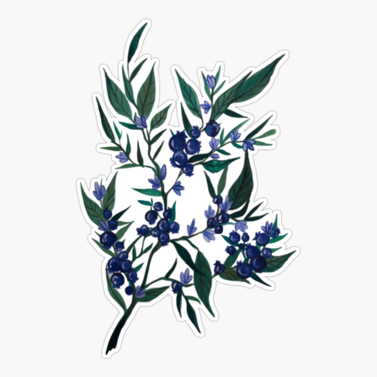 Onim Blue Berry Sticker, Phone Decal Water Bottle Stickers Car Decals ...