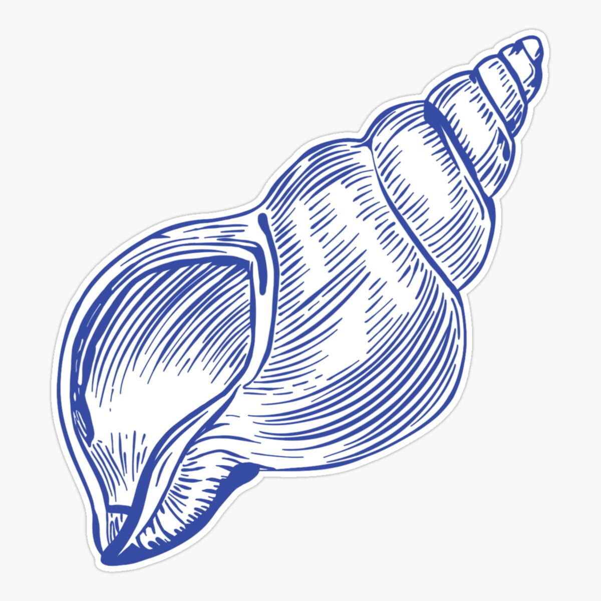 Onim Blue Conch Shell Beach Summer Sticker, Phone Decal Water Bottle ...
