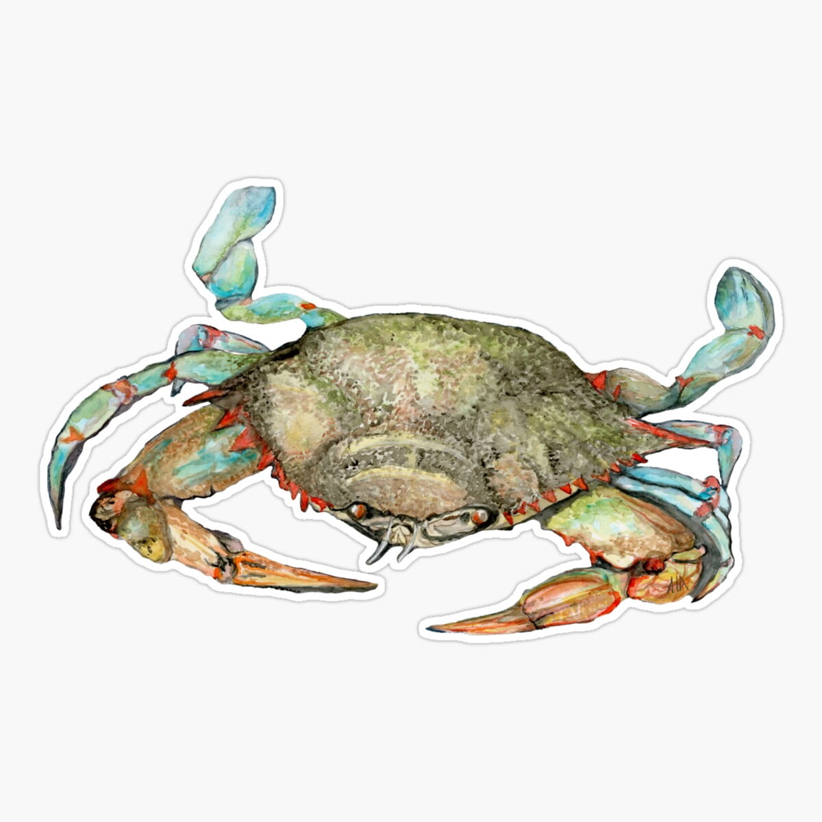 Onim Blue Crab In The Salt Marsh Sticker, Phone Decal Water Bottle ...