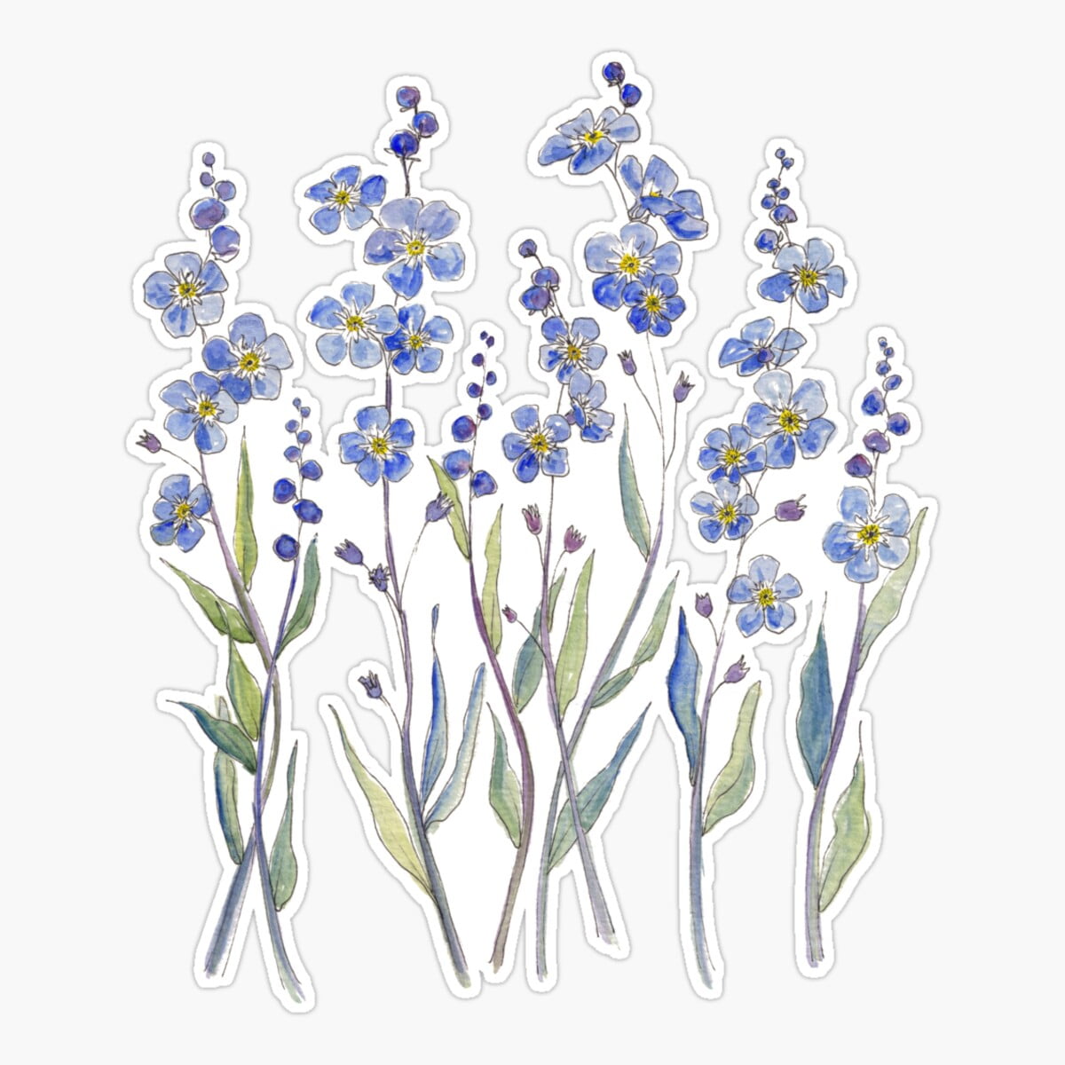 Onim Blue Forget Me Not Blooms Sticker, Phone Decal Water Bottle ...