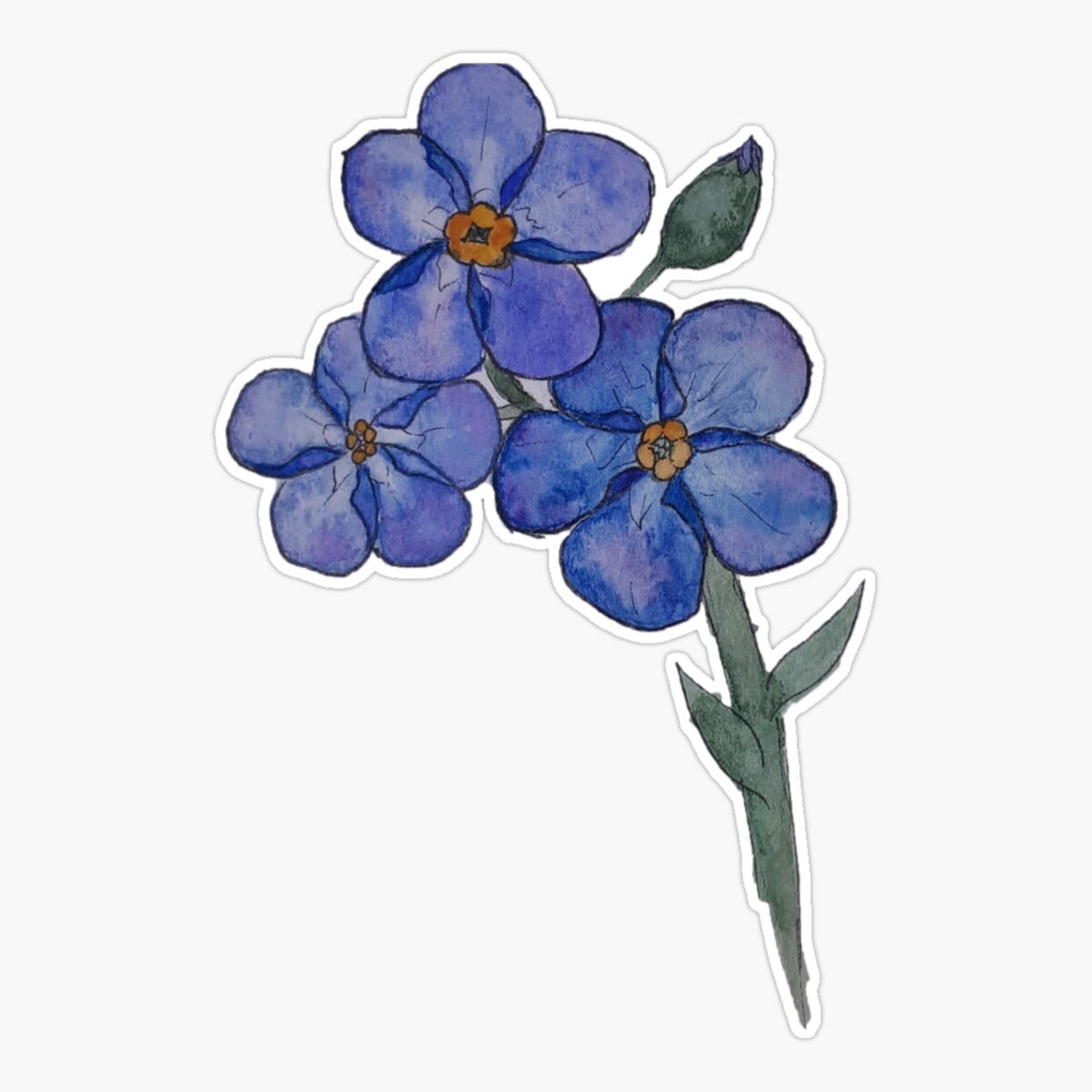 Onim Blue Forget-Me-Nots Myosotis Sticker, Phone Decal Water Bottle ...