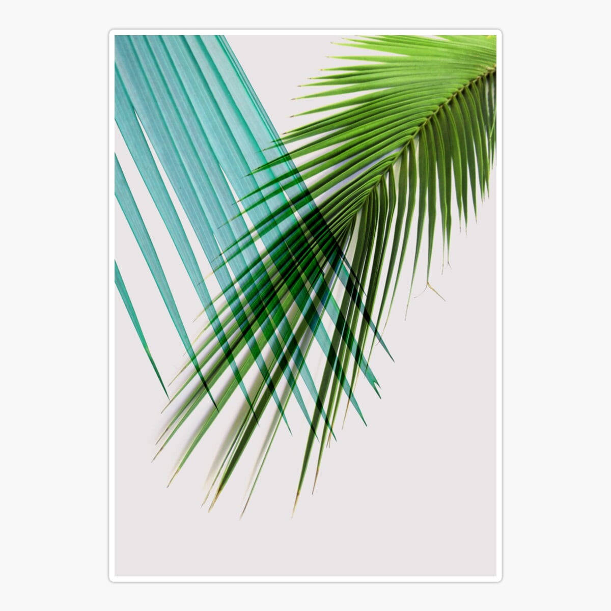 Onim Blue Green Tropical Palm Leaves Sticker, Phone Decal Water Bottle ...