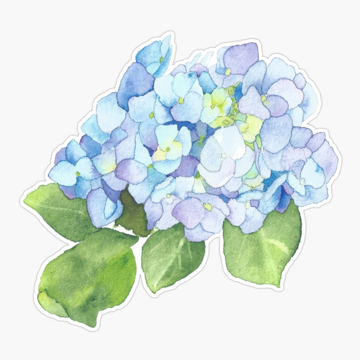 Onim Blue Hydrangea, Original Watercolor Sticker, Phone Decal Water ...