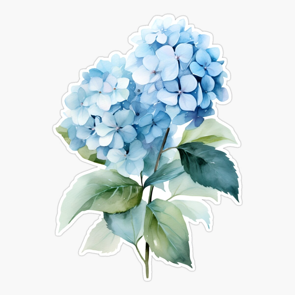 Onim Blue Hydrangea Sticker, Phone Decal Water Bottle Stickers Car ...