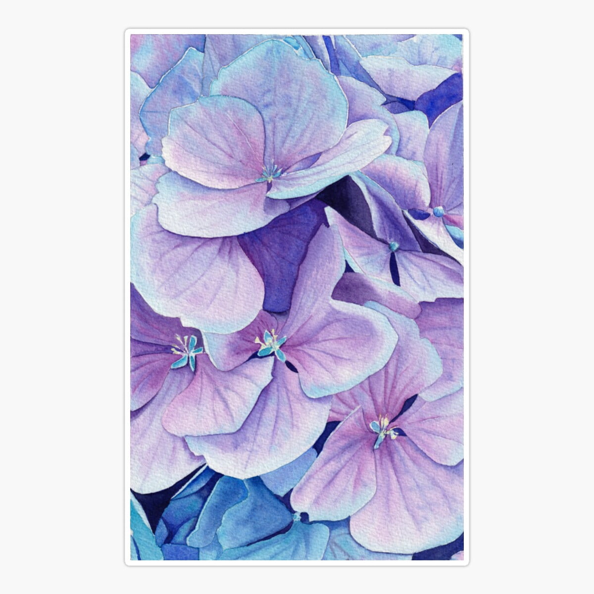 Onim Blue Hydrangea Sticker, Phone Decal Water Bottle Stickers Car ...