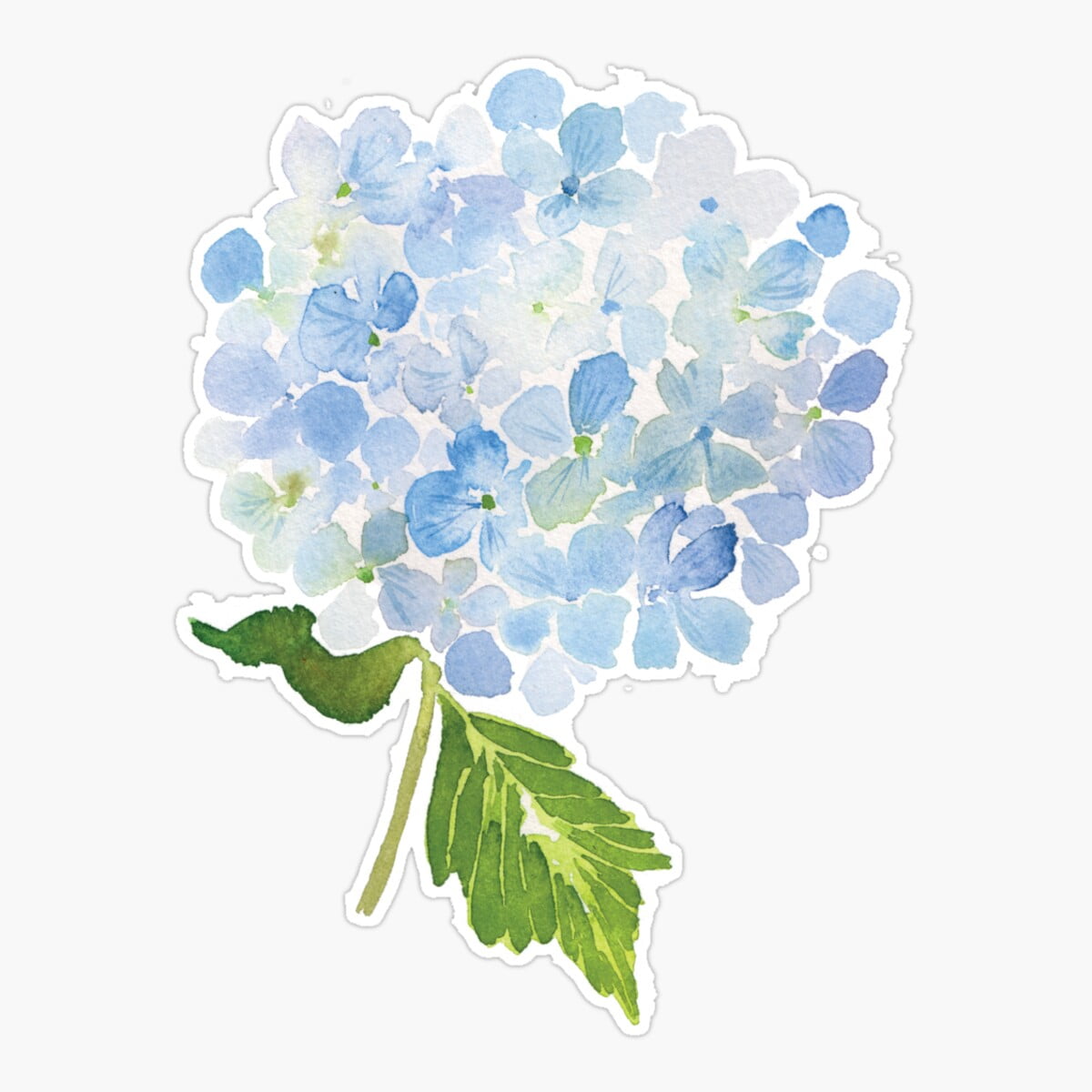 Onim Blue Hydrangea Watercolor Flower Sticker, Phone Decal Water Bottle ...