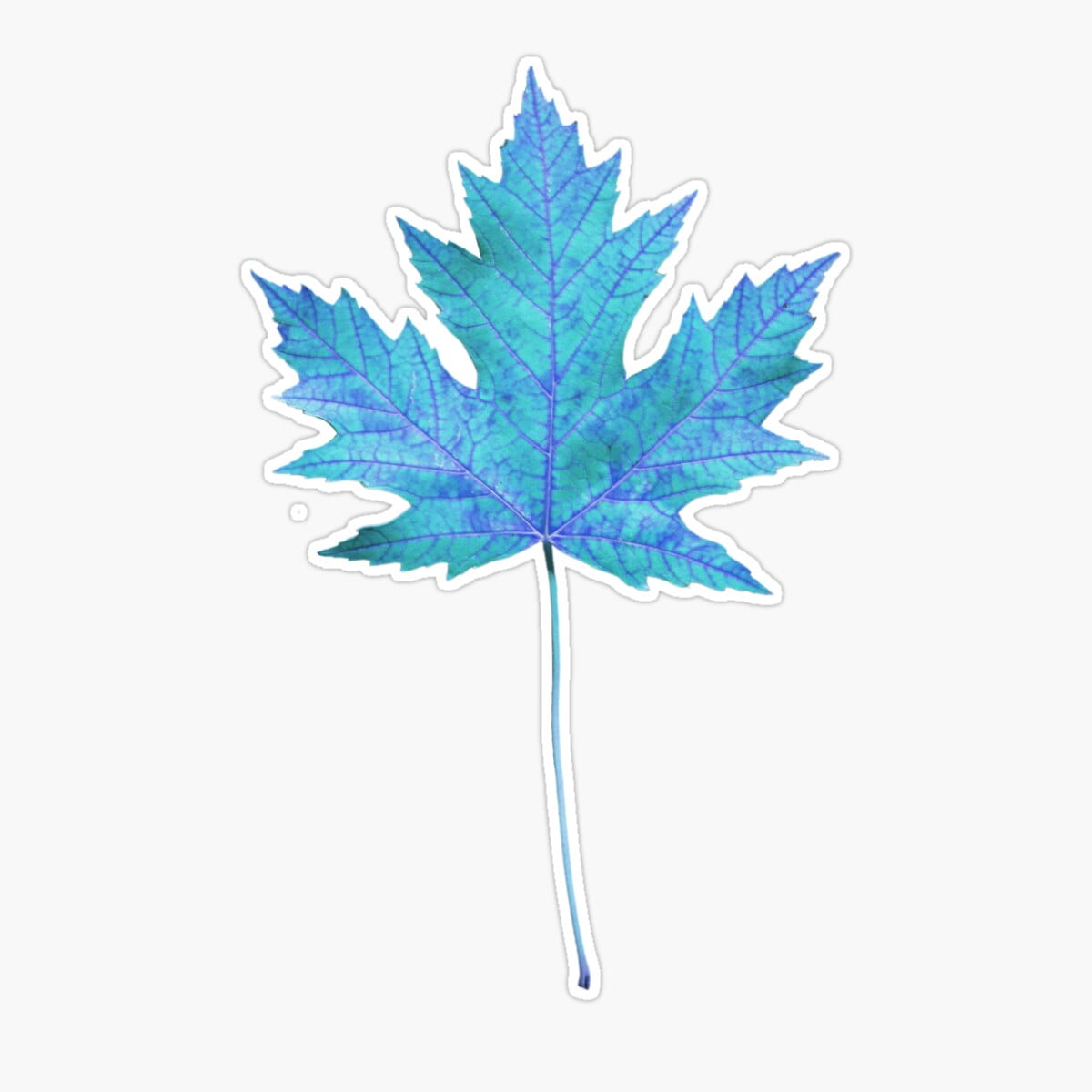 Onim Blue Maple Leaf Autumn Sticker, Phone Decal Water Bottle Stickers Car Decals, Funny ...