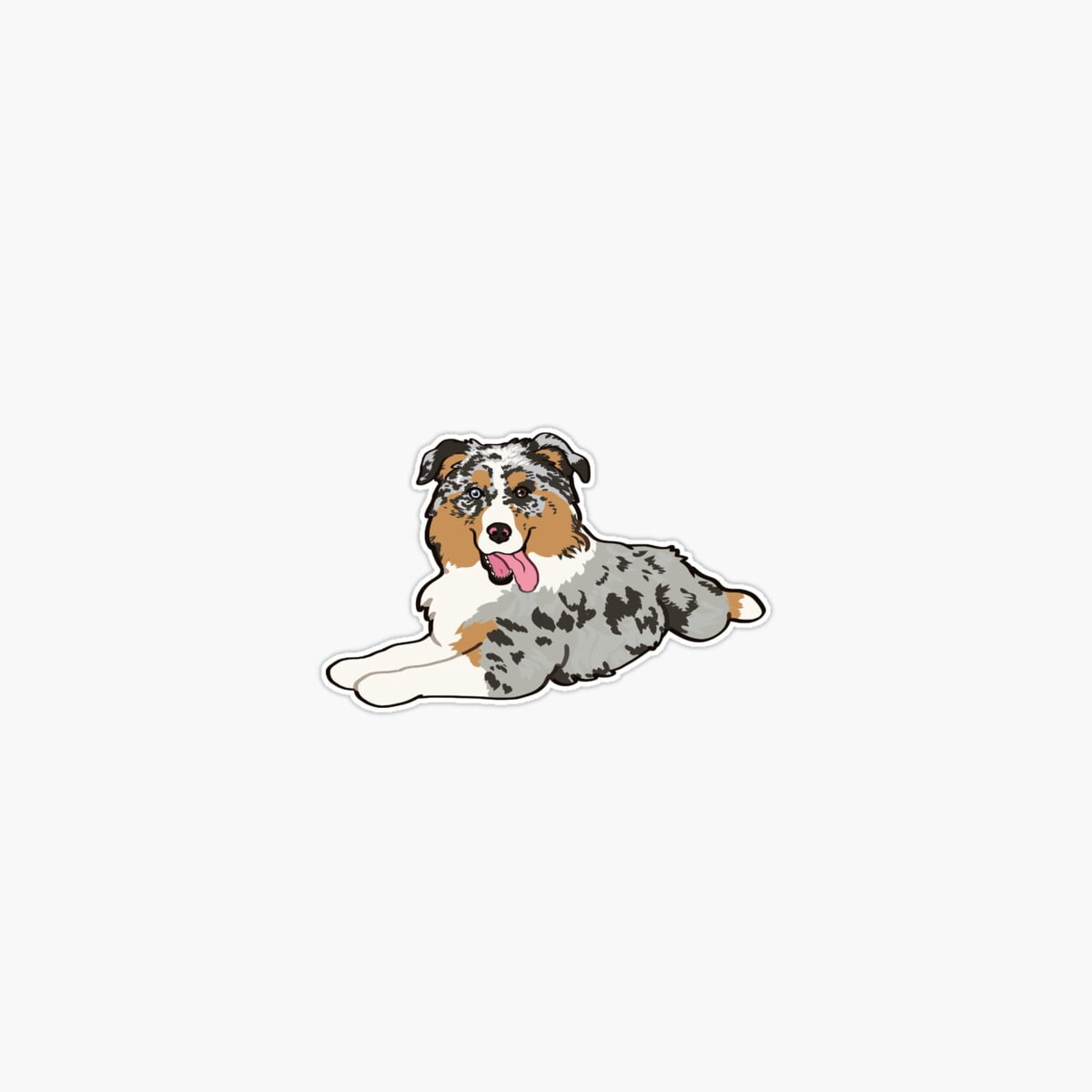 Onim Blue Merle Aussie Laying down / blue Merle Australian Shepherd Dog ...