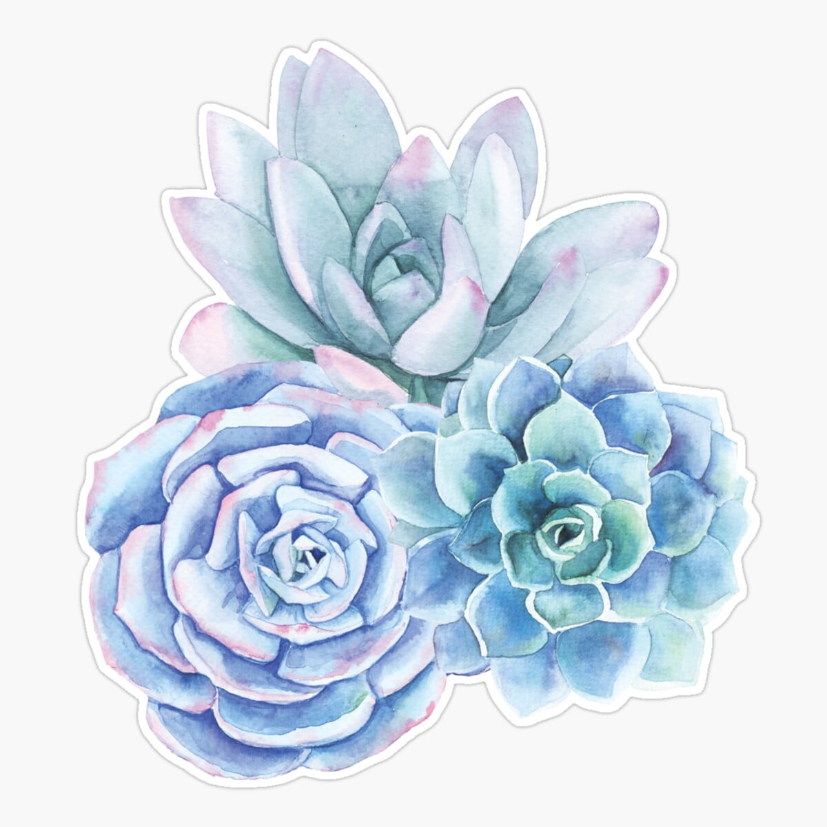 Onim Blue Watercolor Succulent Arrangement Sticker, Phone Decal Water ...