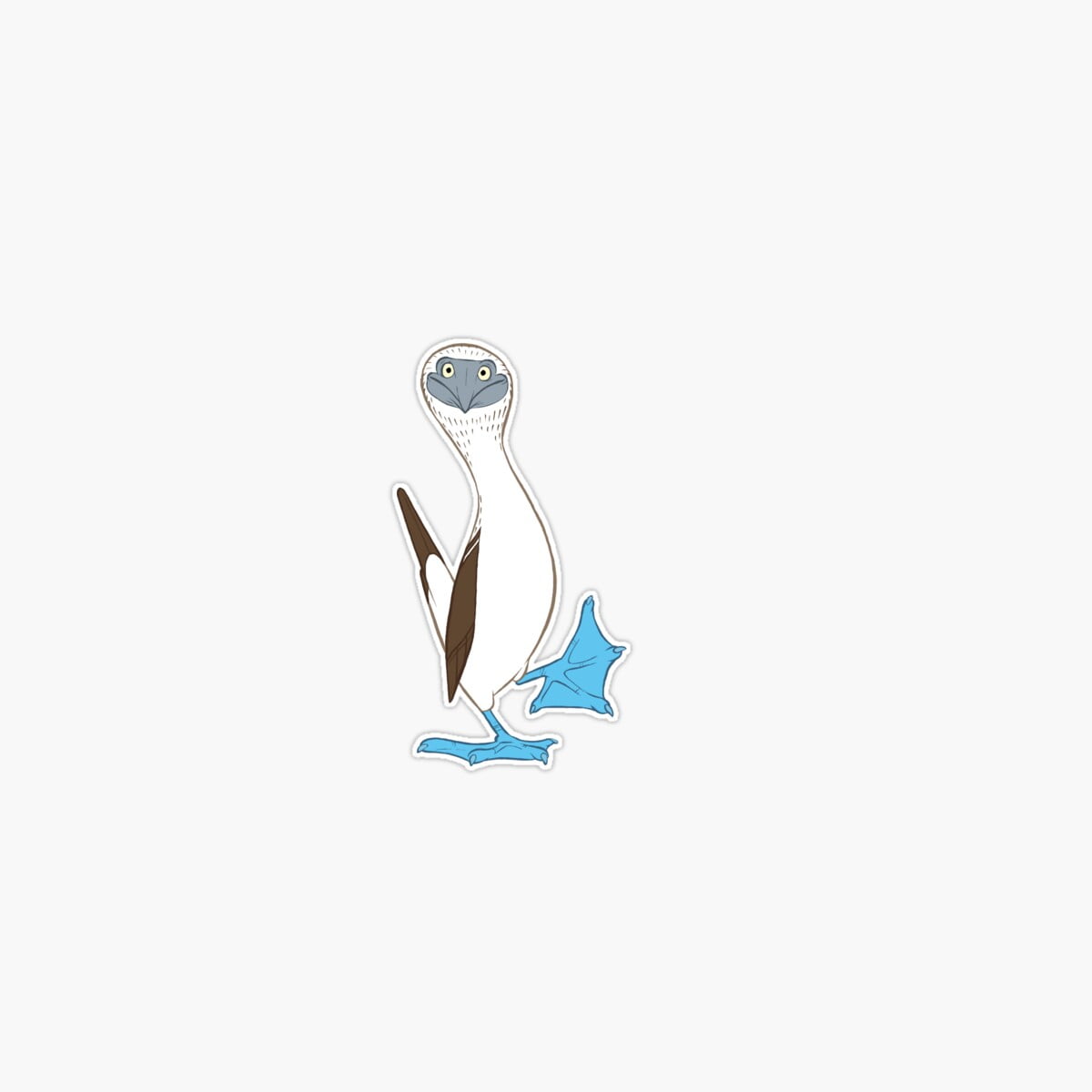 Onim Blue-Footed Booby Sticker, Phone Decal Water Bottle Stickers Car ...