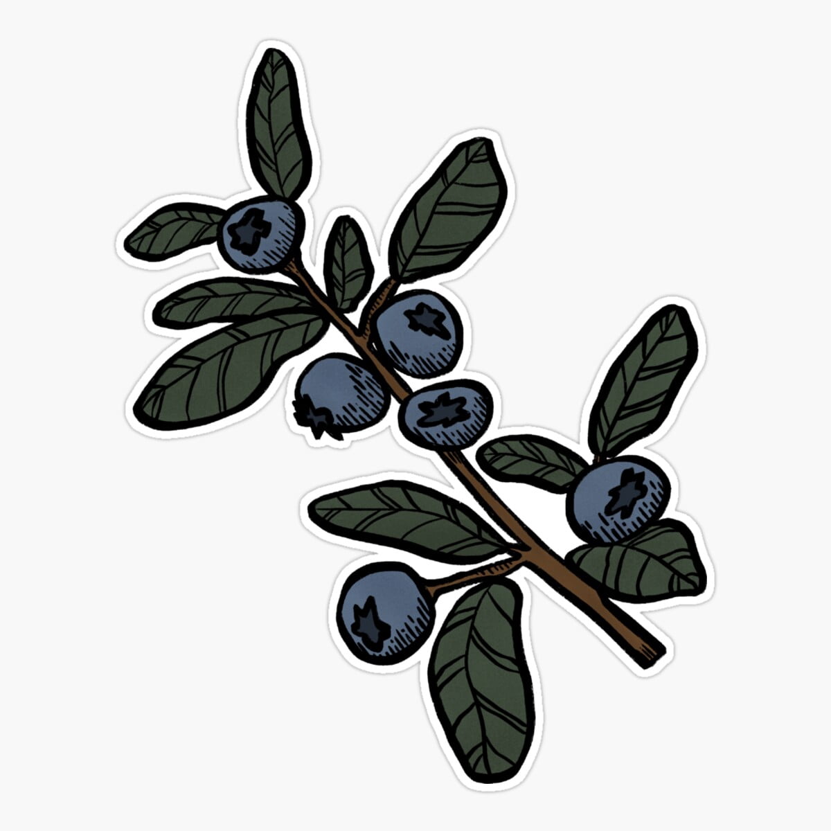 Onim Blueberry Branch Botanical Sticker, Phone Decal Water Bottle ...