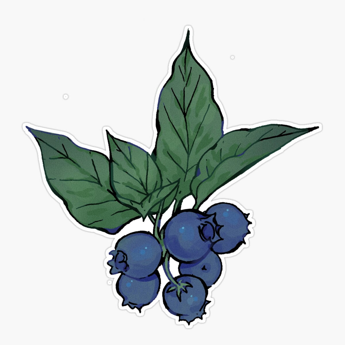 Onim Blueberry Bundle Sticker, Phone Decal Water Bottle Stickers Car ...