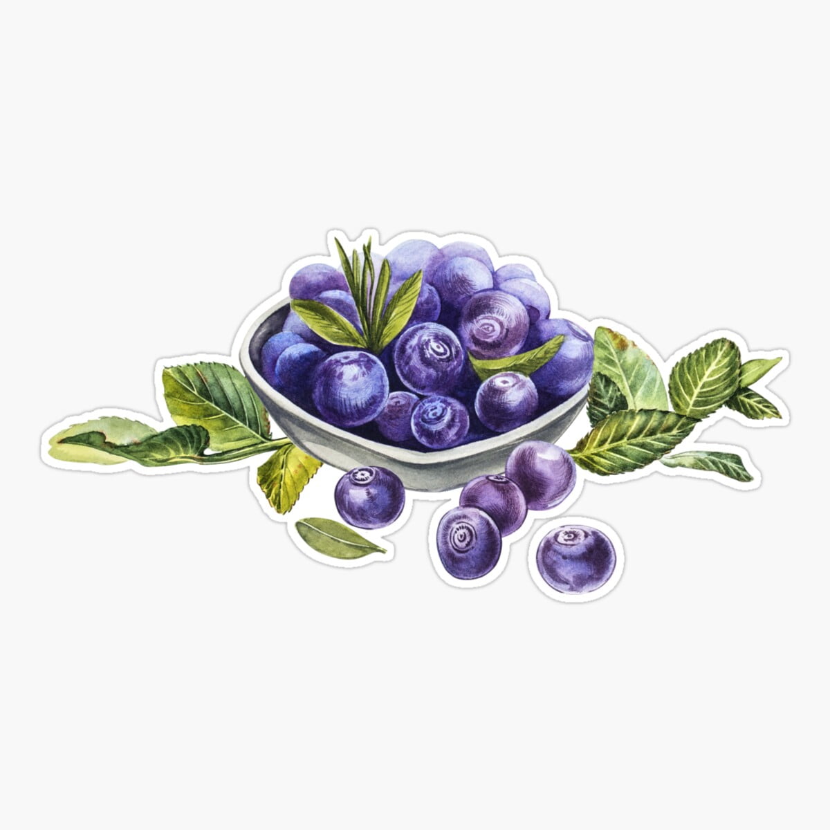 Onim Blueberry Sticker, Phone Decal Water Bottle Stickers Car Decals ...