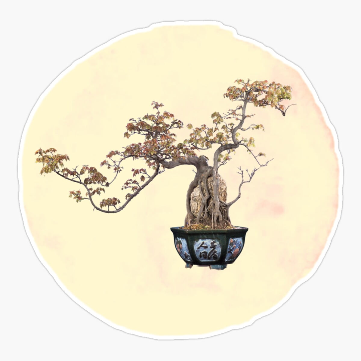 Onim Bonsai Tree Japan Culture Sticker, Phone Decal Water Bottle ...