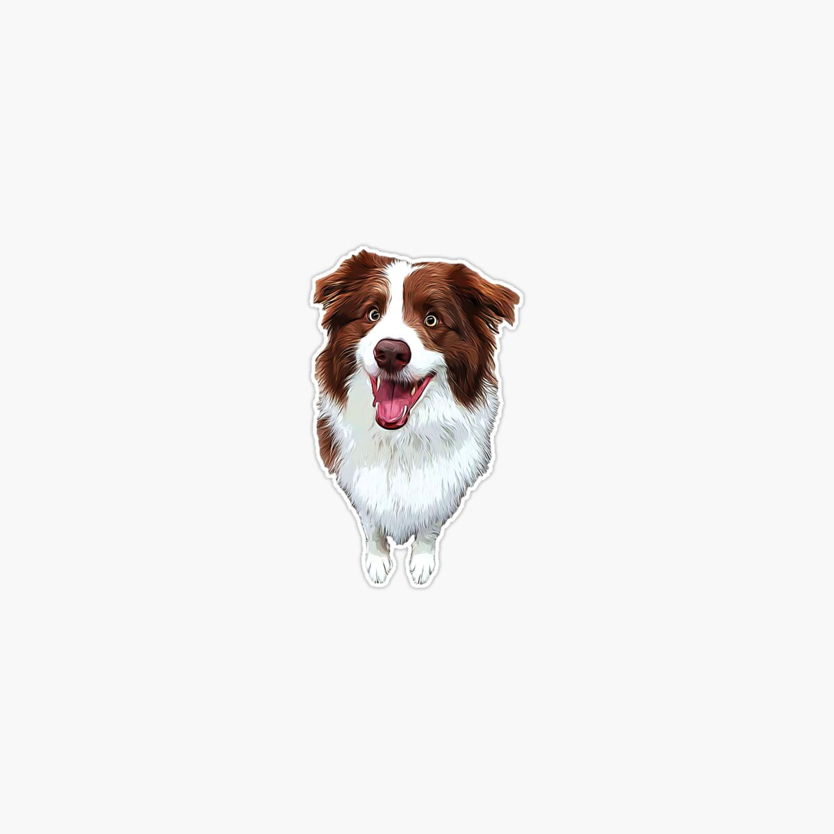 Onim Border Collie- Chocolate Brown Beauty Sticker, Phone Decal Water ...