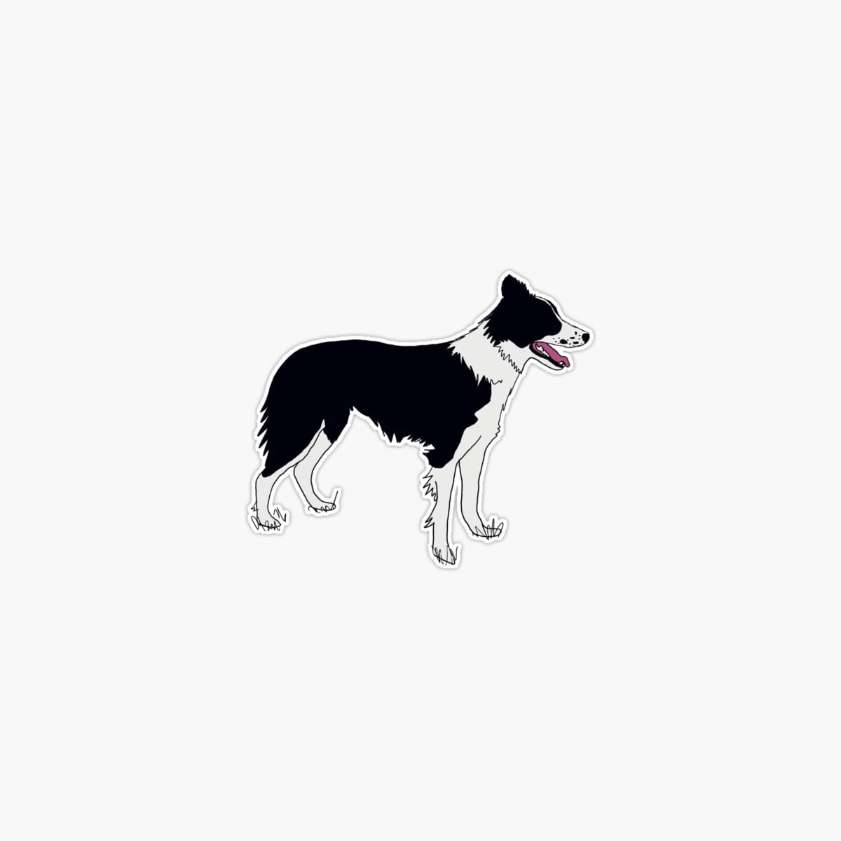 Onim Border Collie Sticker, Phone Decal Water Bottle Stickers Car ...