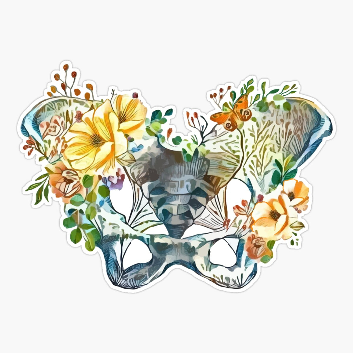 Onim Botanical Anatomy Pelvis Feminism, Anatomy, Anatomical Art, Female ...