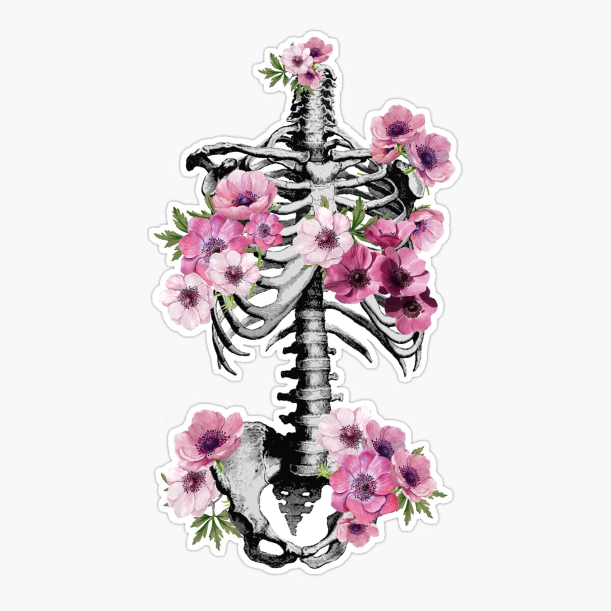 Onim Botanical Anatomy, Rib Cage, Pelvis, Pink Anemones Floral Skeleton ...