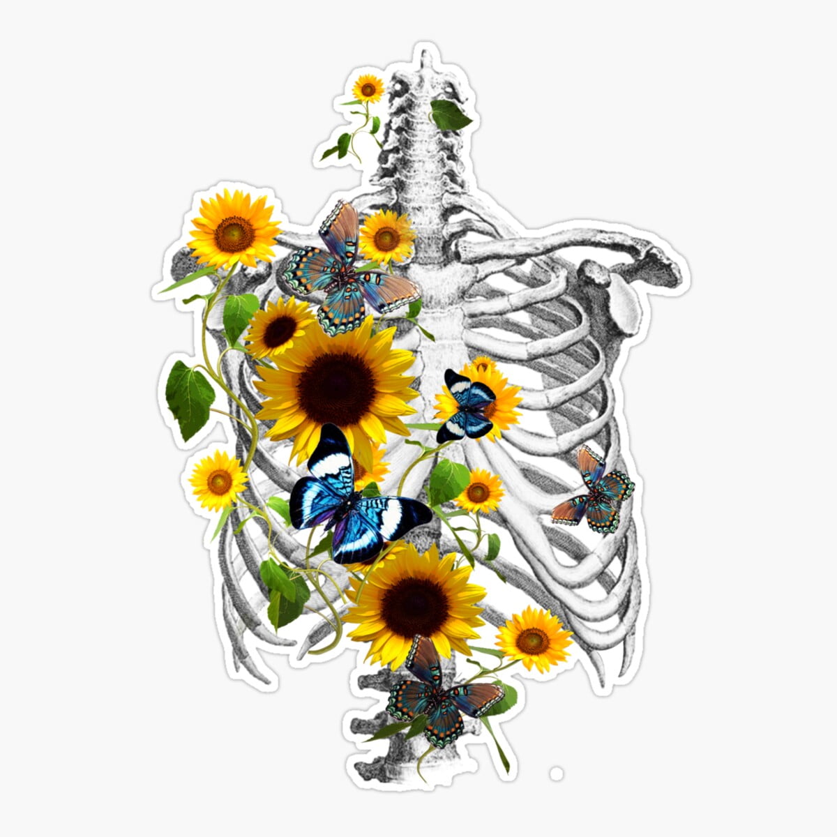 Onim Botanical Human Skeleton Art, Rib Cage And Flowers, Sunflowers And ...