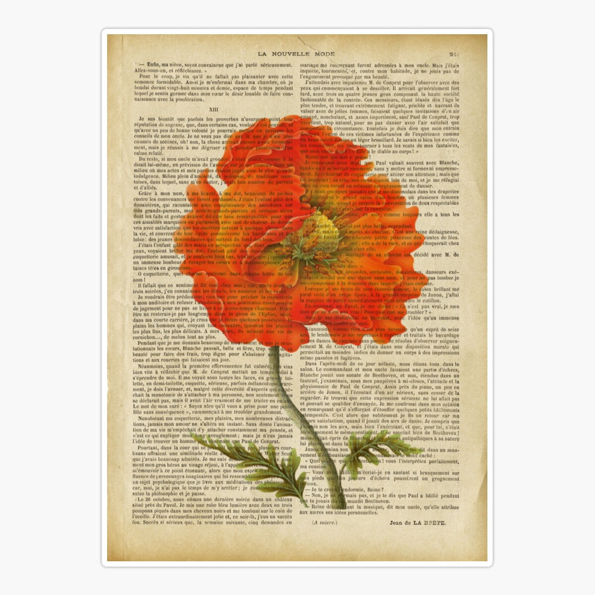 Onim Botanical Print, On Old Book Page - Poppies Sticker, Phone Decal ...