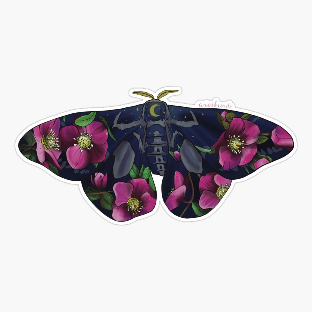 Onim Botanical Rothschildia Jacobaeae Moth Midnight Roses Floral ...