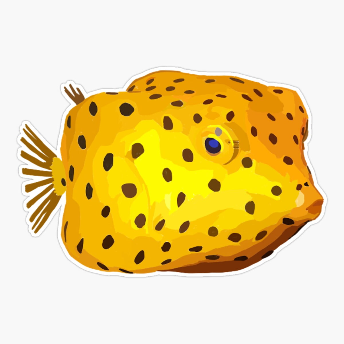 Onim Boxfish Sticker, Phone Decal Water Bottle Stickers Car Decals ...