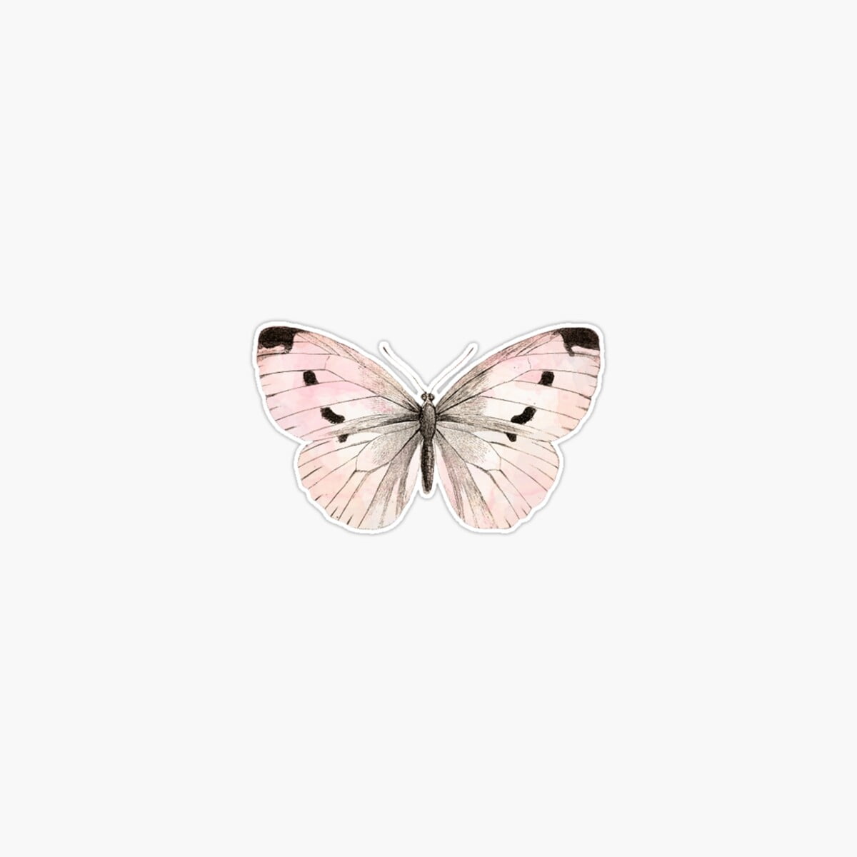 Onim Butterfly Flutter - Soft Peach Sticker, Phone Decal Water Bottle ...