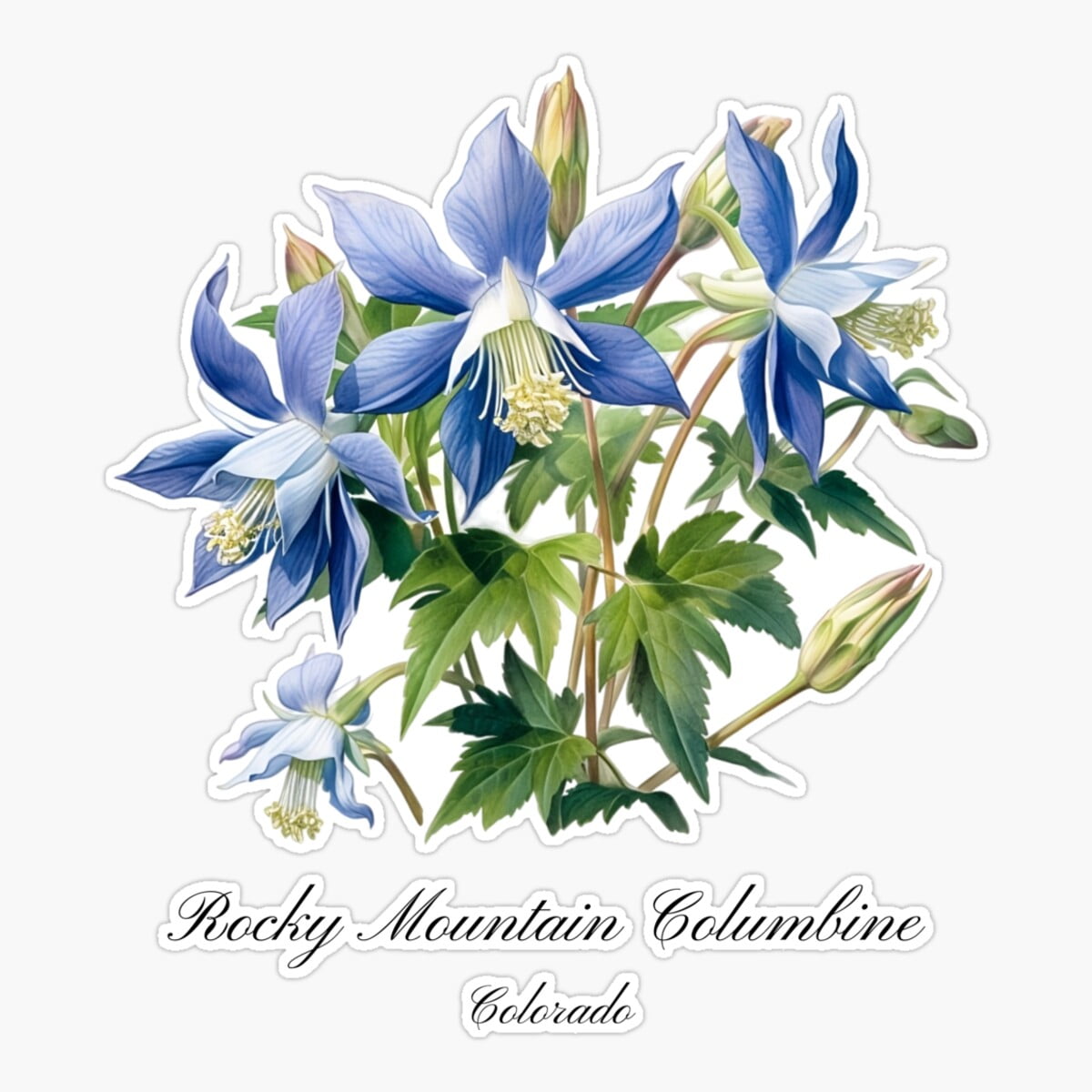 Onim C4 - Rust Sticker, Phone Decal Water Bottle Stickers Car Decals ...