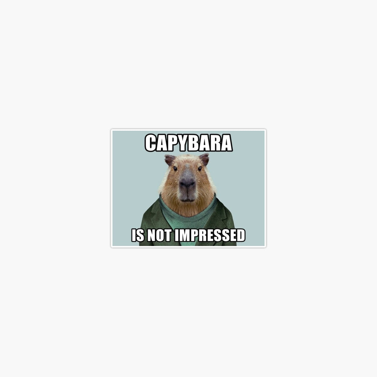 Onim Capybara Is Not Impressed Sticker, Phone Decal Water Bottle ...