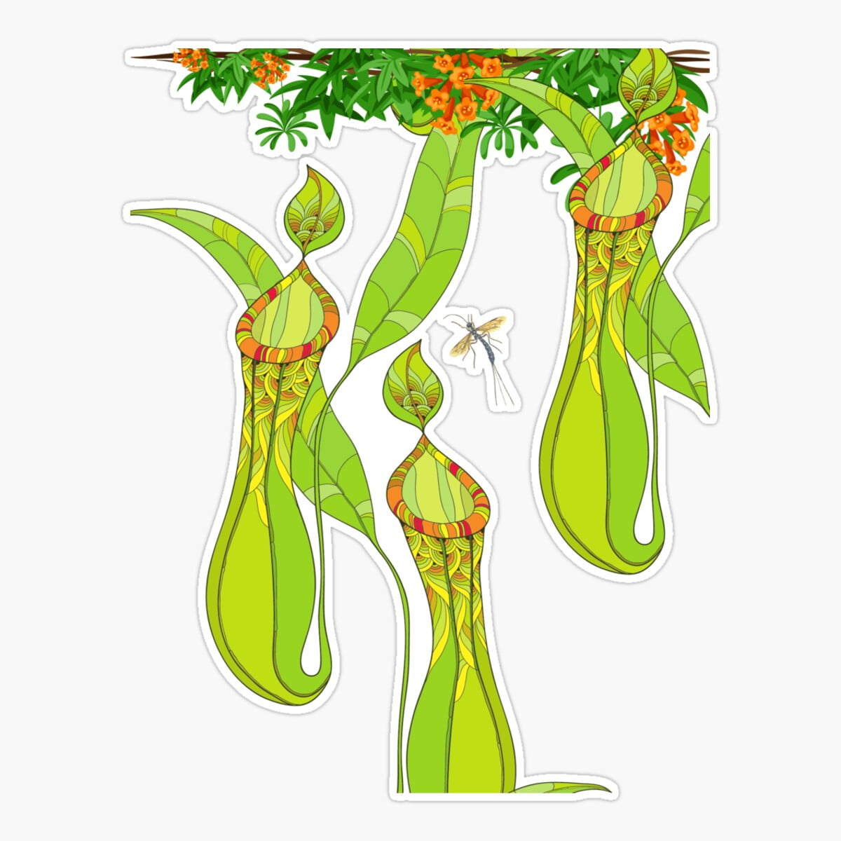 Onim Carnivorous Pitcher Plants Sticker, Phone Decal Water Bottle ...