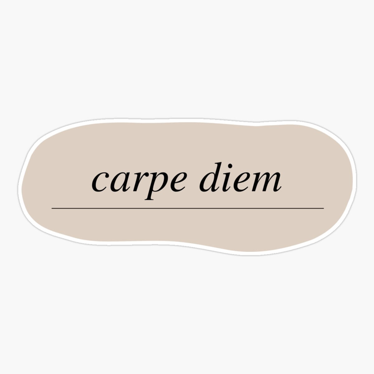 Onim Carpe Diem Latin Phrase Sticker, Phone Decal Water Bottle Stickers ...