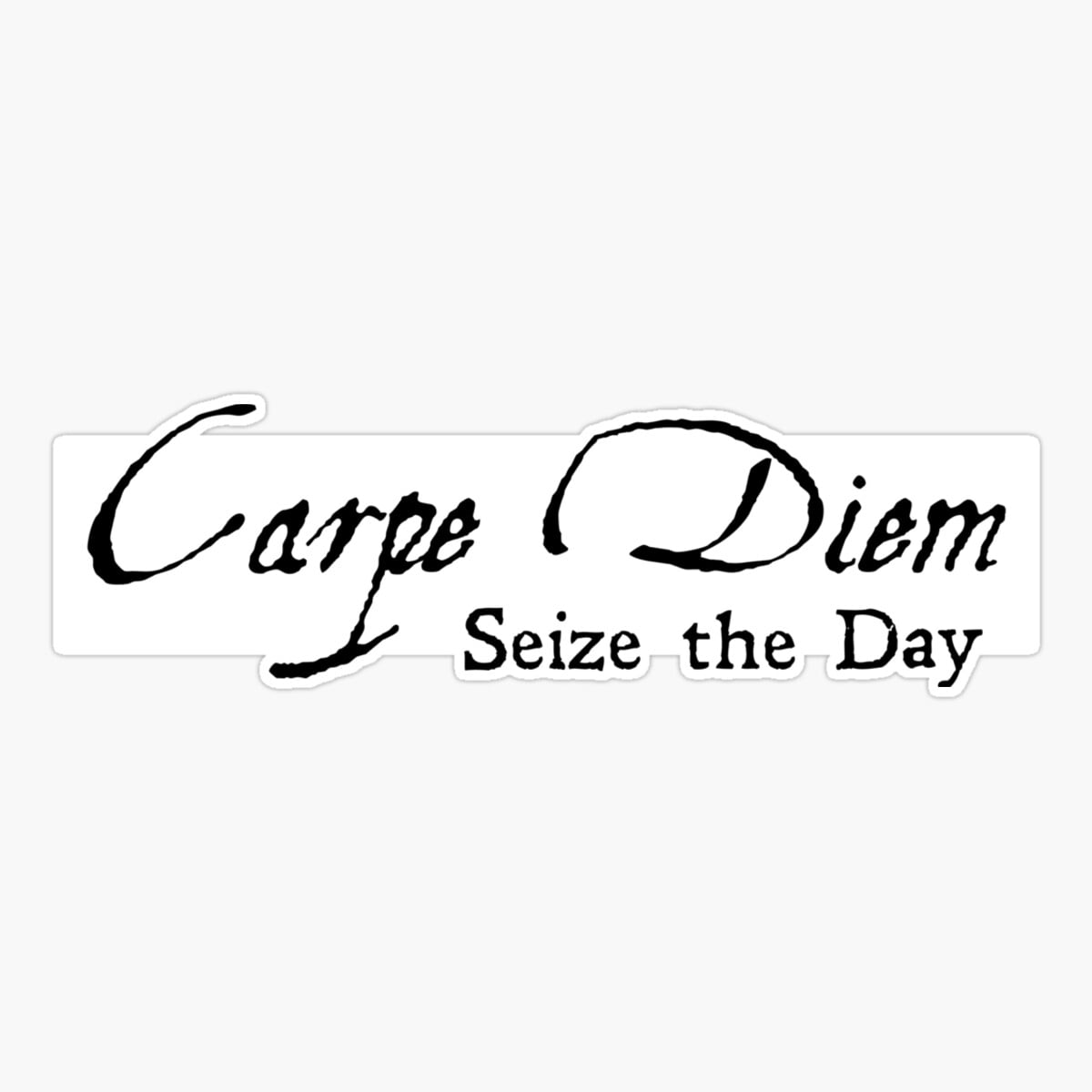 Onim Carpe Diem Seize The Day Latin Quote In Dark Academia Ink ...