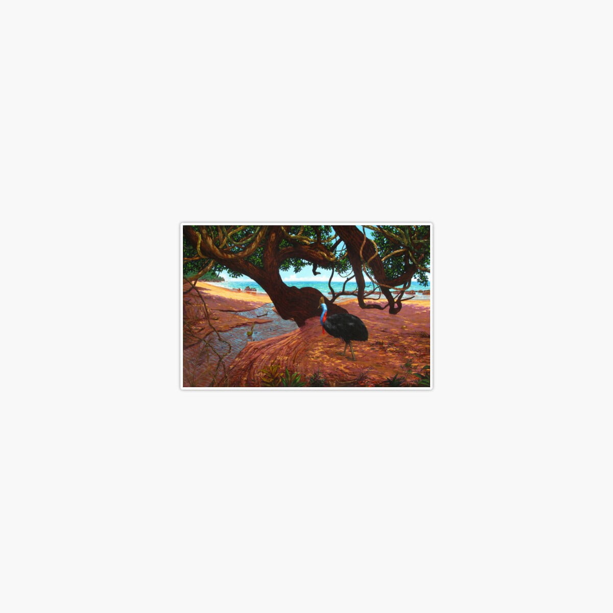 Onim Cassowary Etty Bay Sticker - Walmart.com