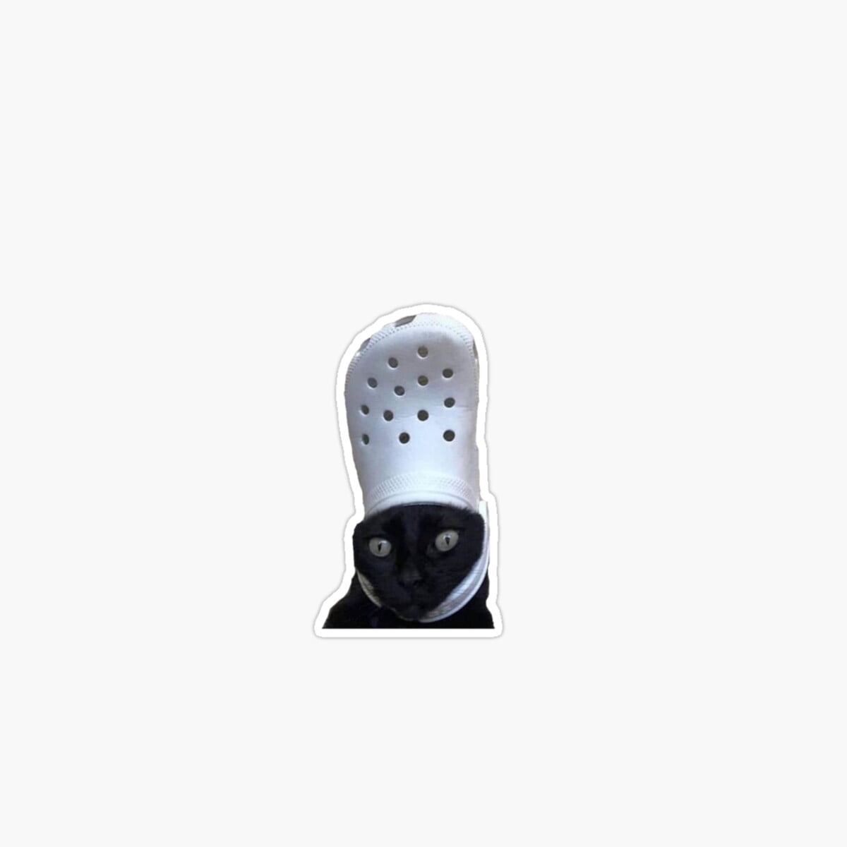 Onim Cat Croc Meme Sticker, Phone Decal Water Bottle Stickers Car ...
