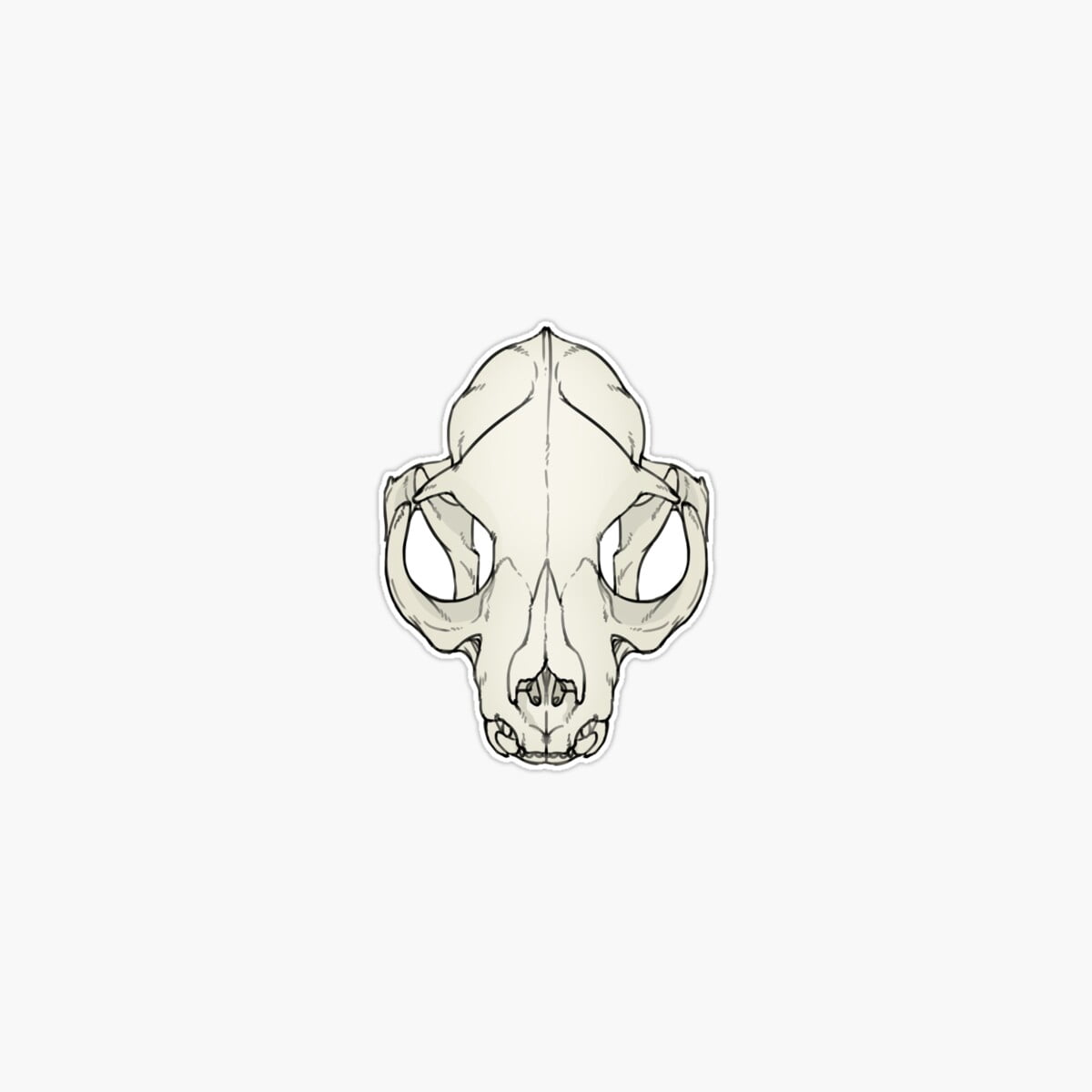 Onim Cat Skull Sticker - Walmart.com