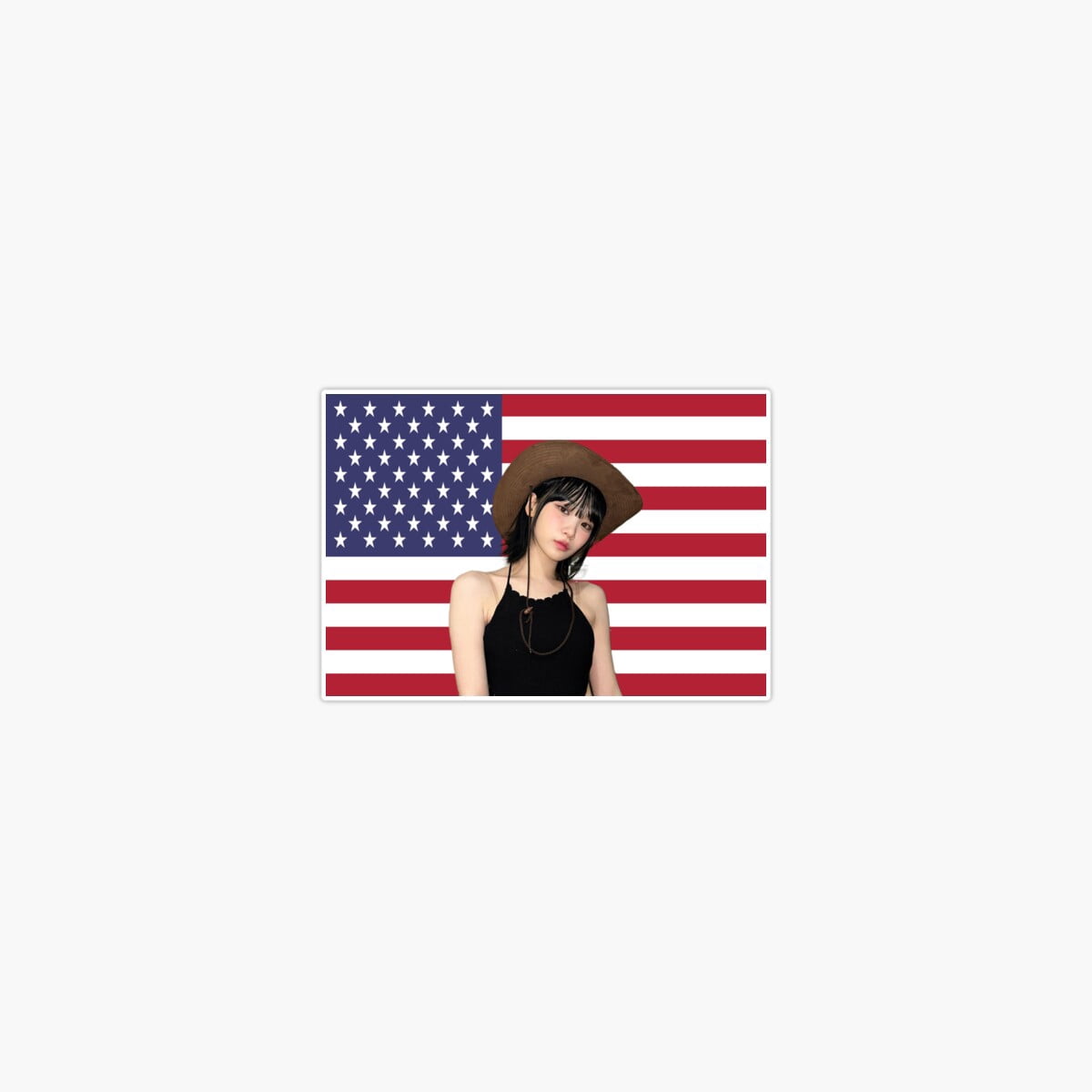 Onim Chaewon Us Flag - Chae-Won Le Sserafim Sticker, Phone Decal Water ...