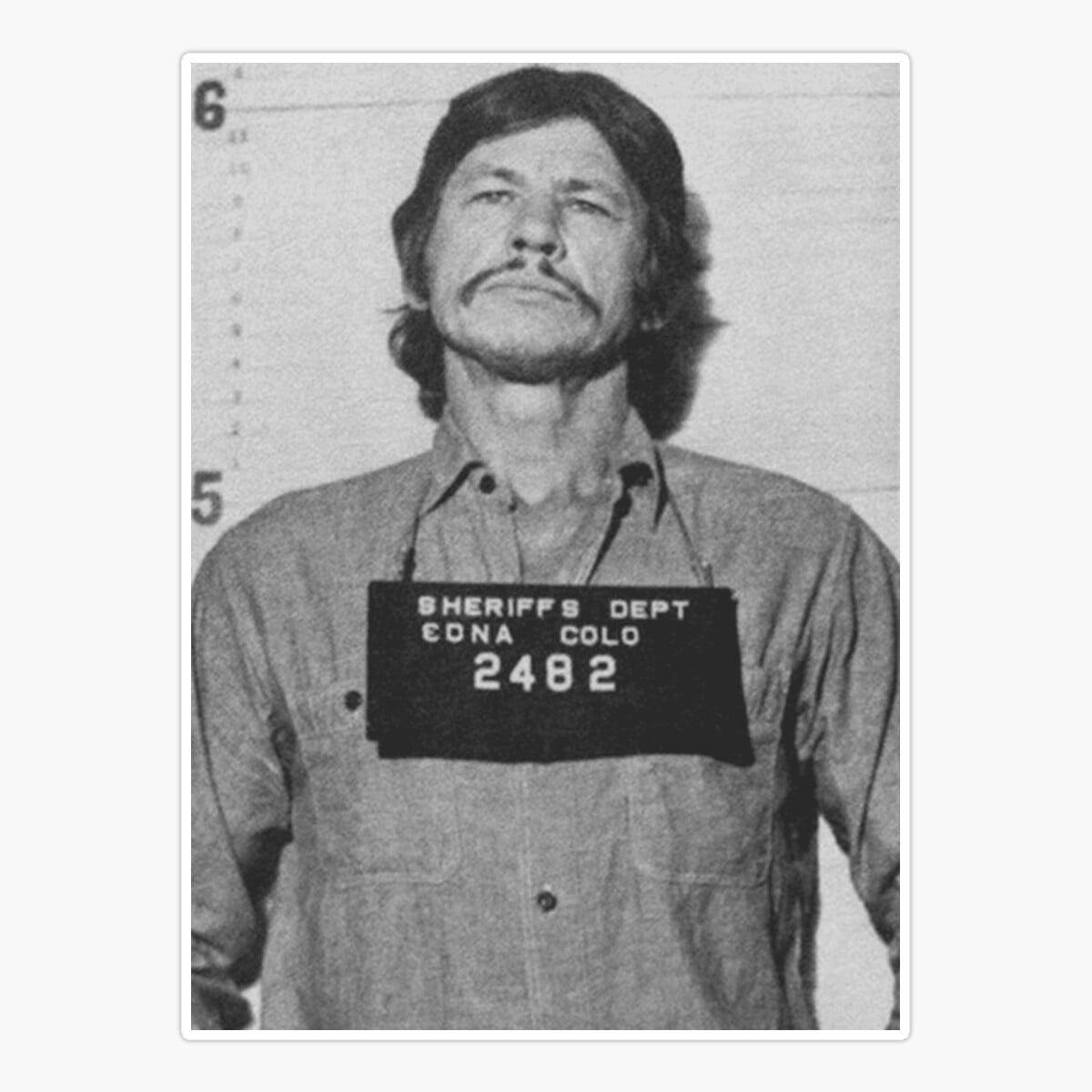 Onim Charles Bronson Sticker, Phone Decal Water Bottle Stickers Car ...