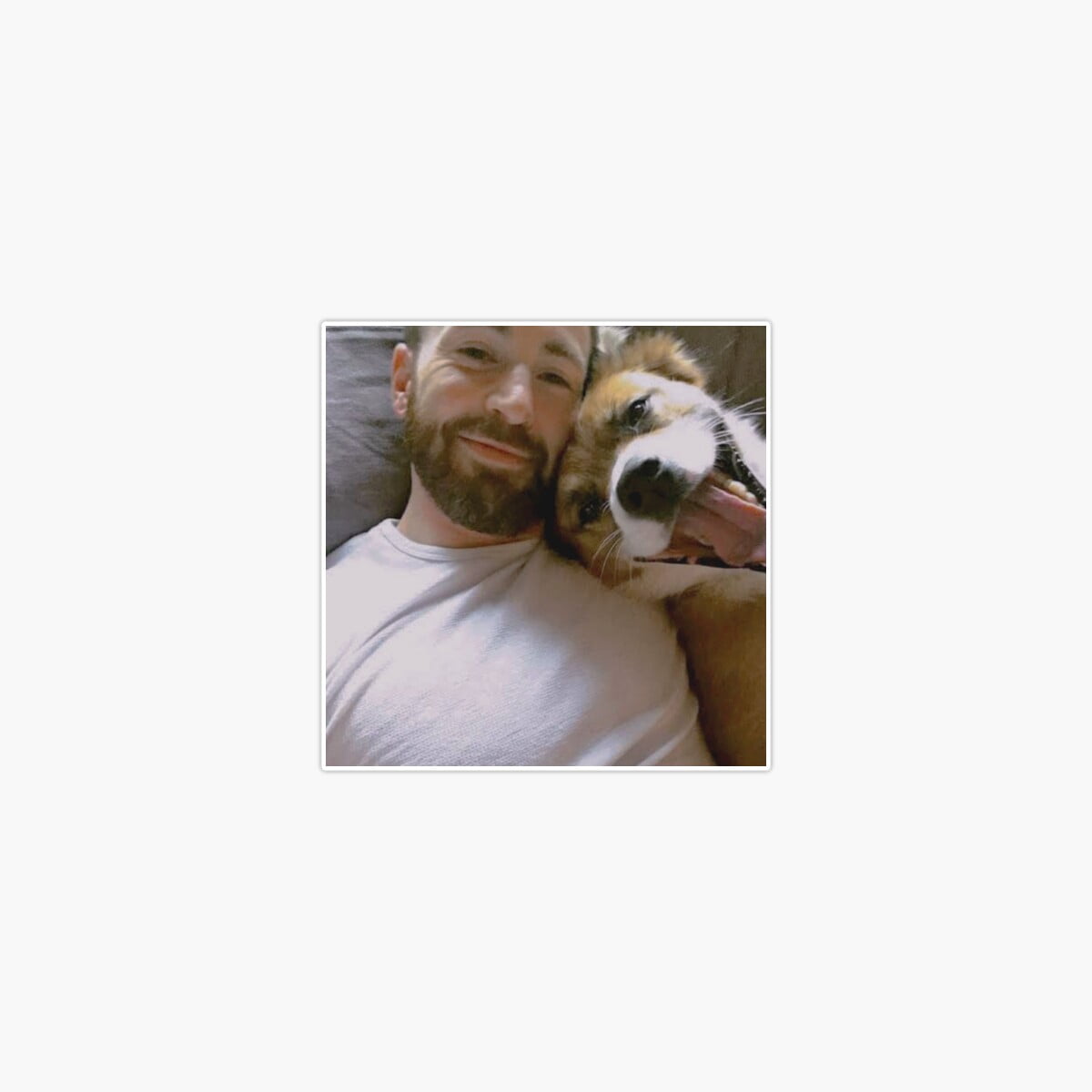 Onim Chris Evans And Dodger Sticker, Phone Decal Water Bottle Stickers ...