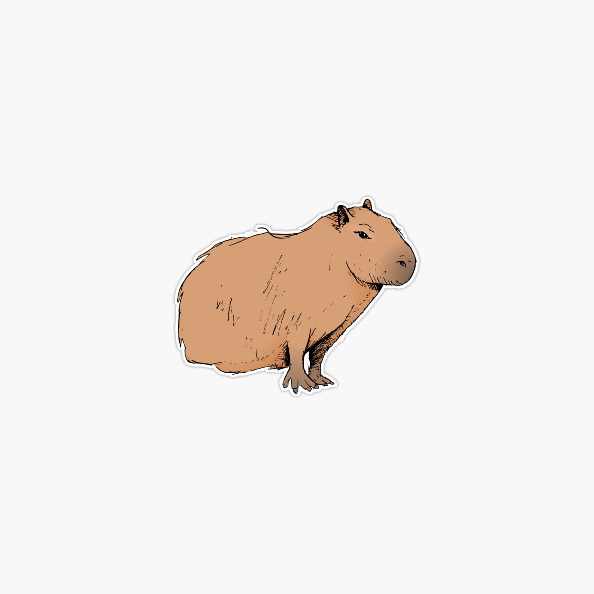 Onim Classic Capybara Sticker - Walmart.com