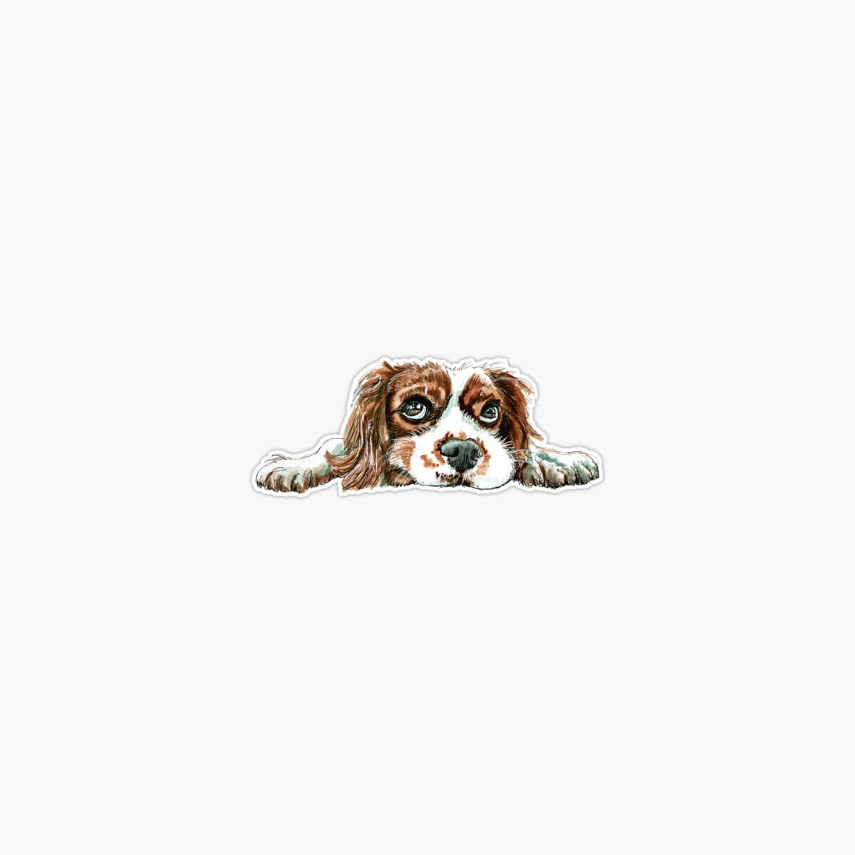 Onim Cocker Spaniel Puppy Dog Eyes Sticker, Phone Decal Water Bottle ...