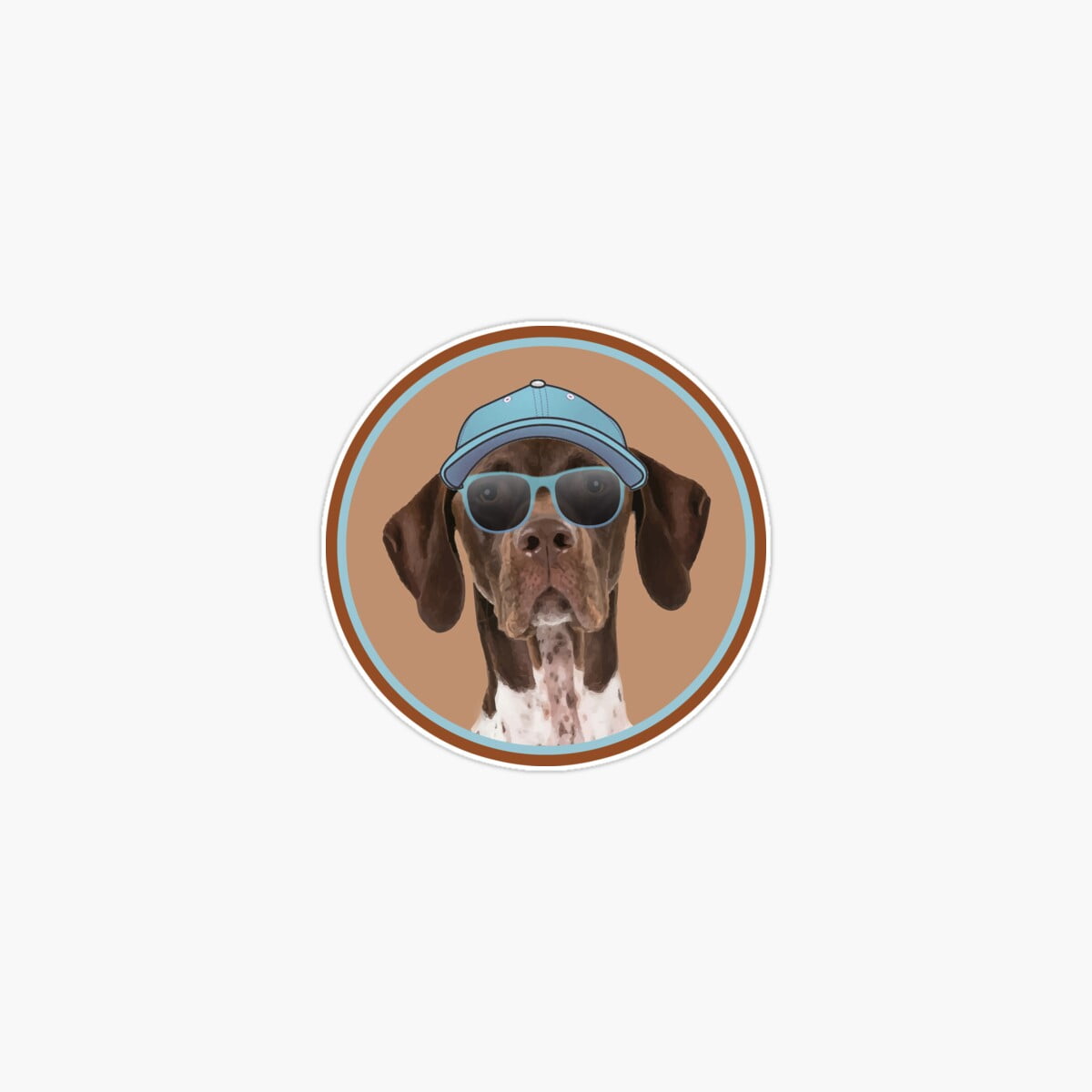 Onim Cool German Shorthaired Pointer In Cap And Sunglasses! Especially ...