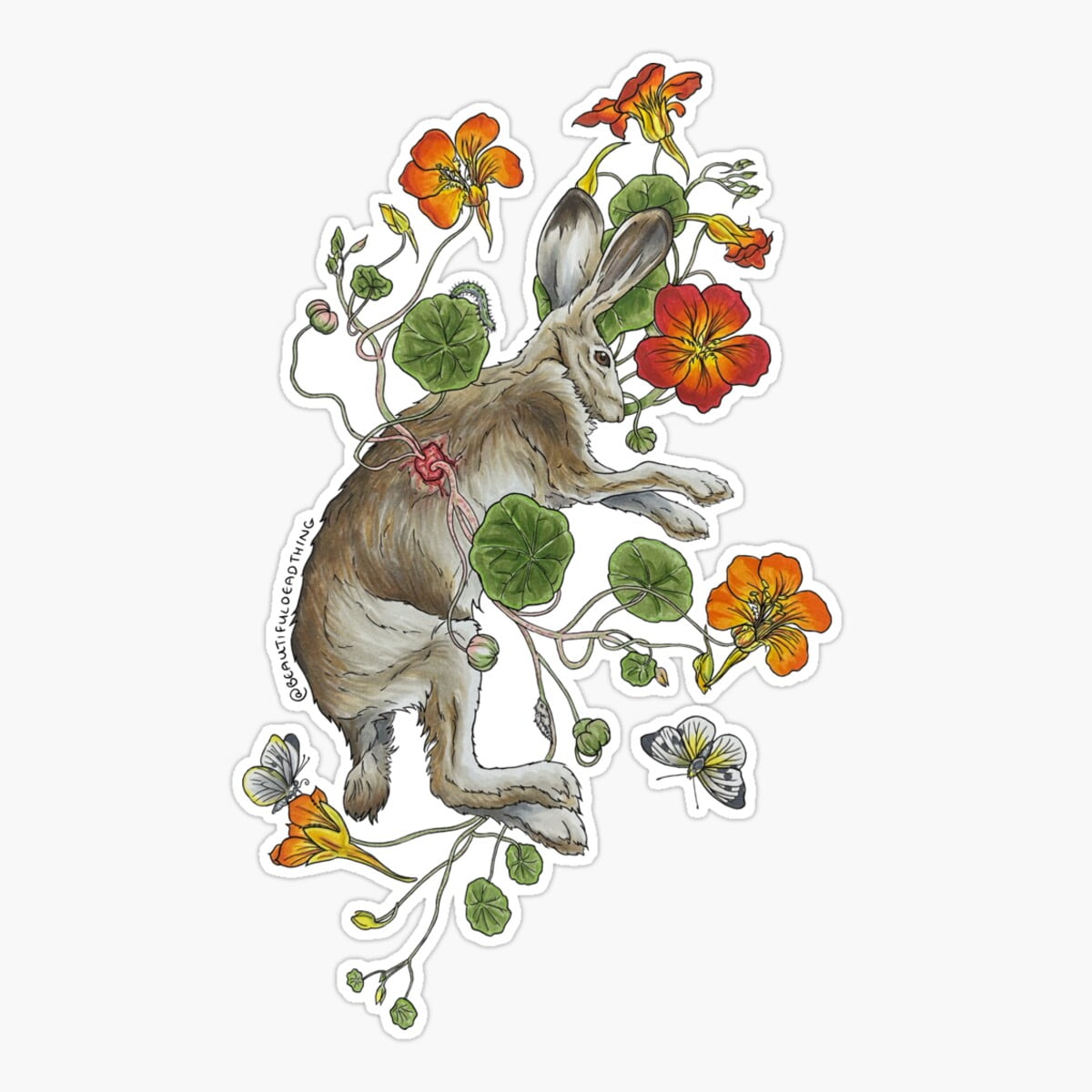 Onim Corn Shibe Doggo Sticker, Phone Decal Water Bottle Stickers Car ...