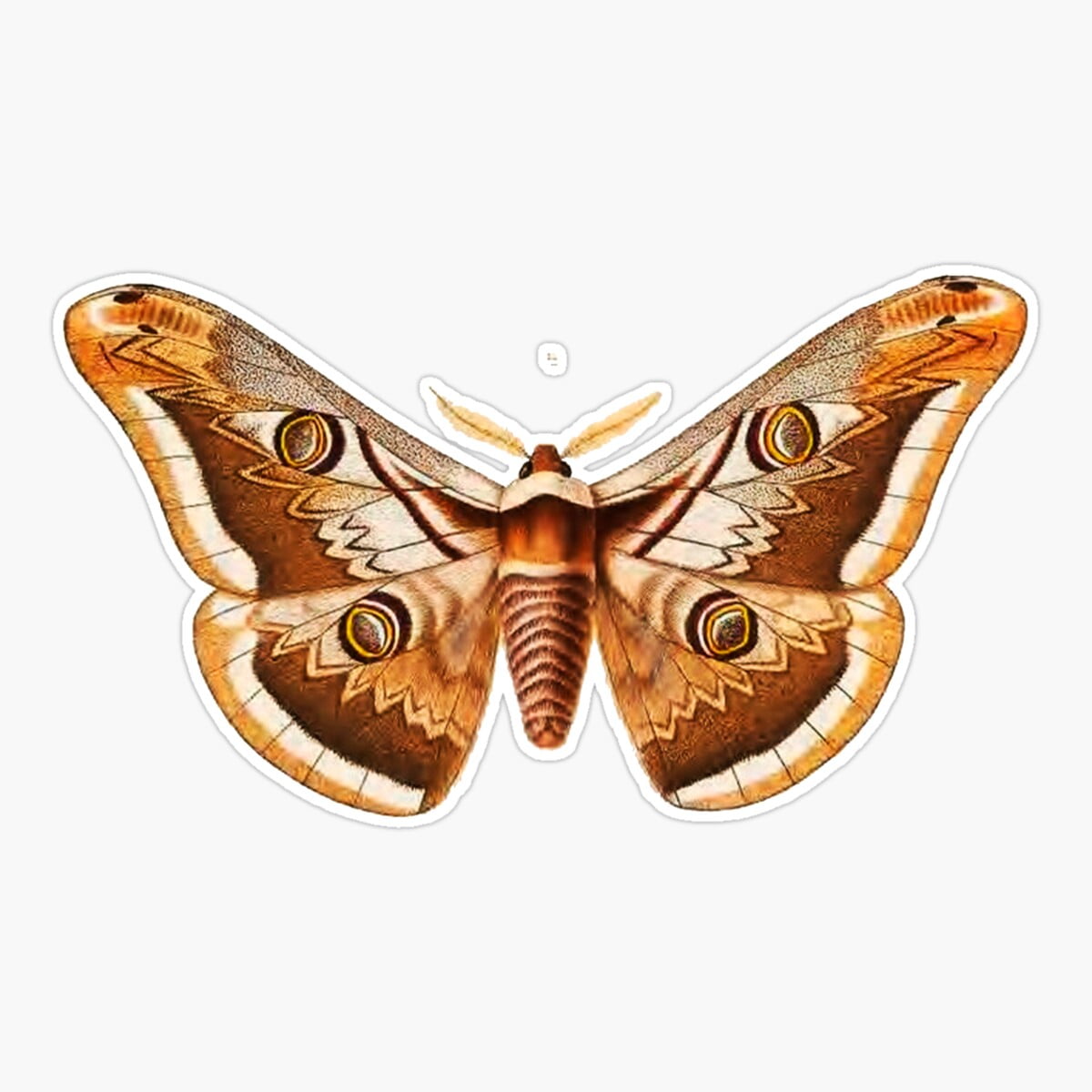 Onim Creepy Butterfly / Moth Sticker, Phone Decal Water Bottle Stickers ...