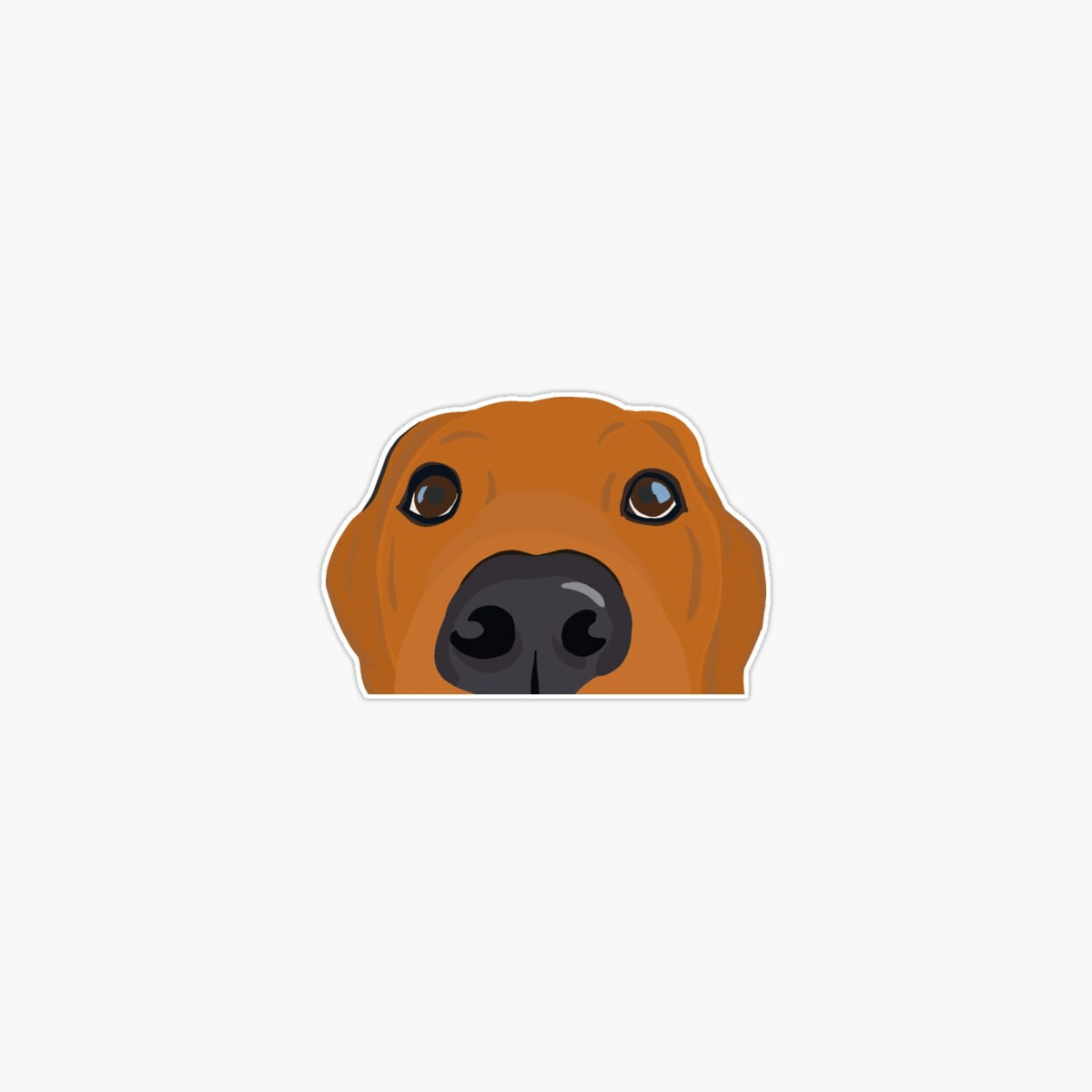 Onim Curious Red Labrador Puppy Sticker, Phone Decal Water Bottle ...