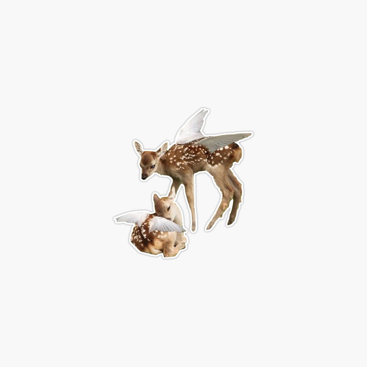 Onim Cute Deer/Fawn With Wings Sticker, Phone Decal Water Bottle ...