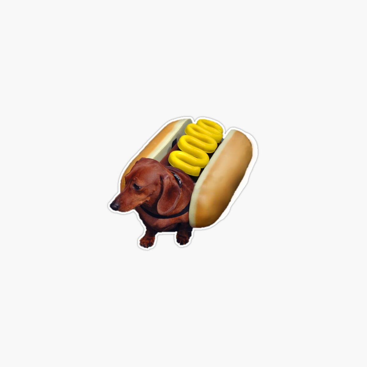 Onim Cute Hot Dog Sticker, Phone Decal Water Bottle Stickers Car Decals ...