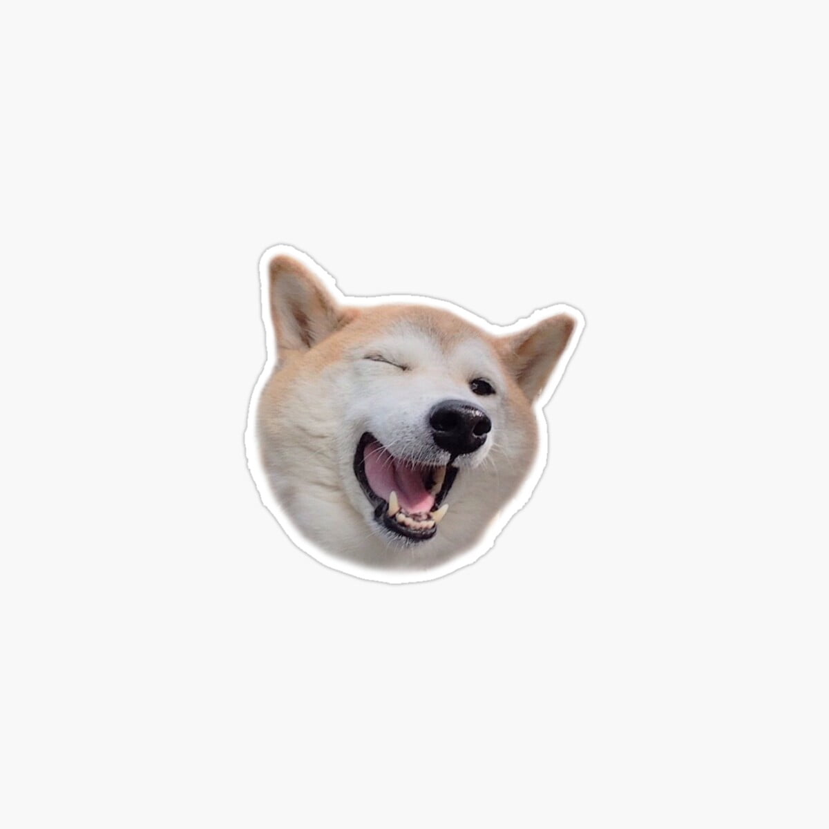 Onim Doggo Stickers: Winking Shibe Sticker, Phone Decal Water Bottle ...