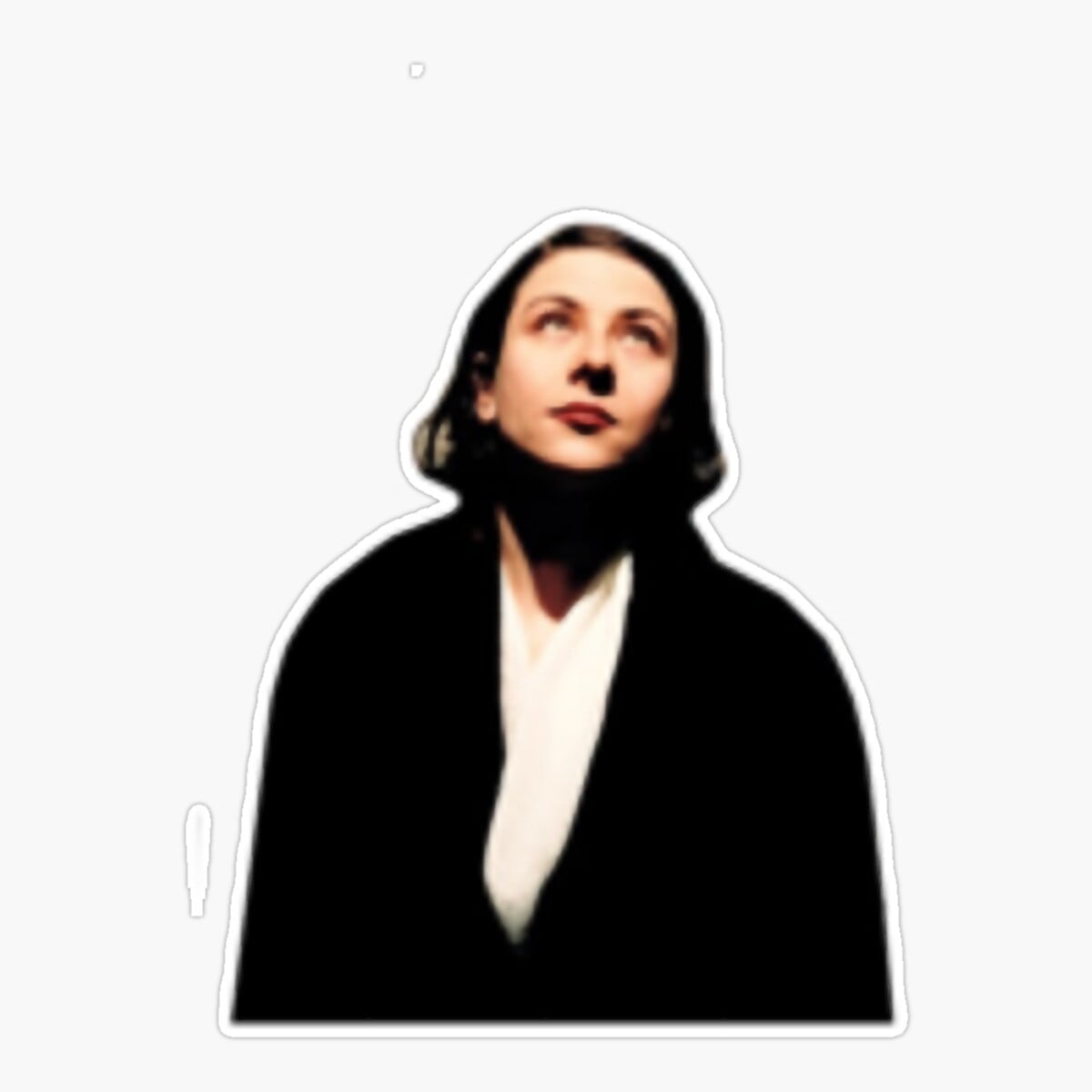 Onim Donna Tartt Sticker, Phone Decal Water Bottle Stickers Car Decals ...
