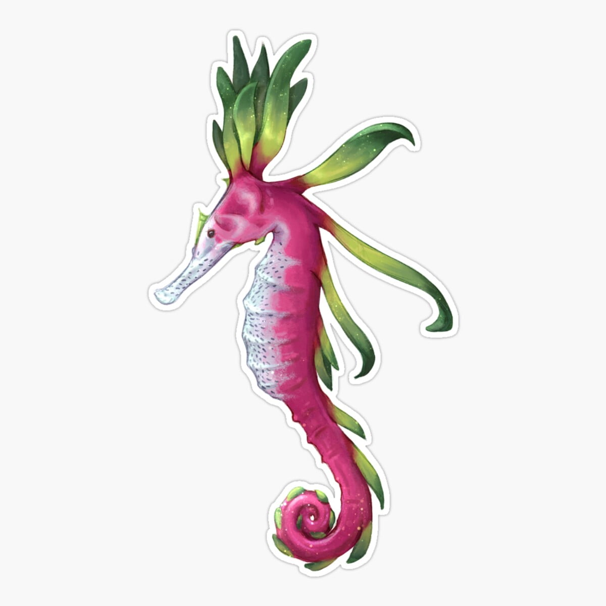 Onim Dragonsea Horsefruit Sticker, Phone Decal Water Bottle Stickers ...