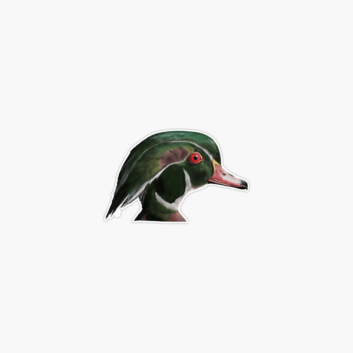 Onim Drake Wood Duck Sticker - Walmart.com